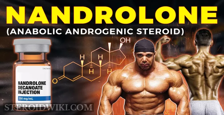 Understanding Nandrolone and It's Risks